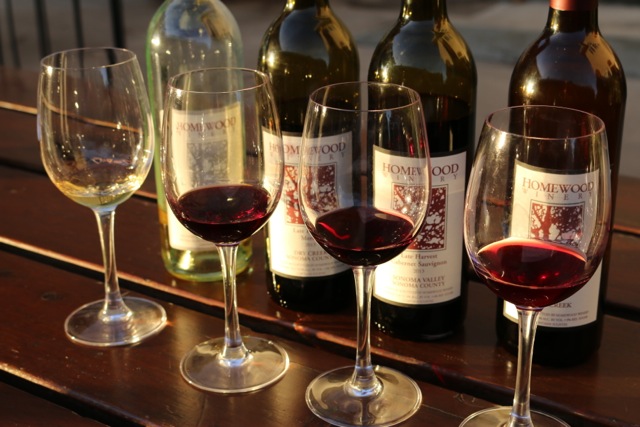 Wine 101: The Basics of Wine – BuyWine.com